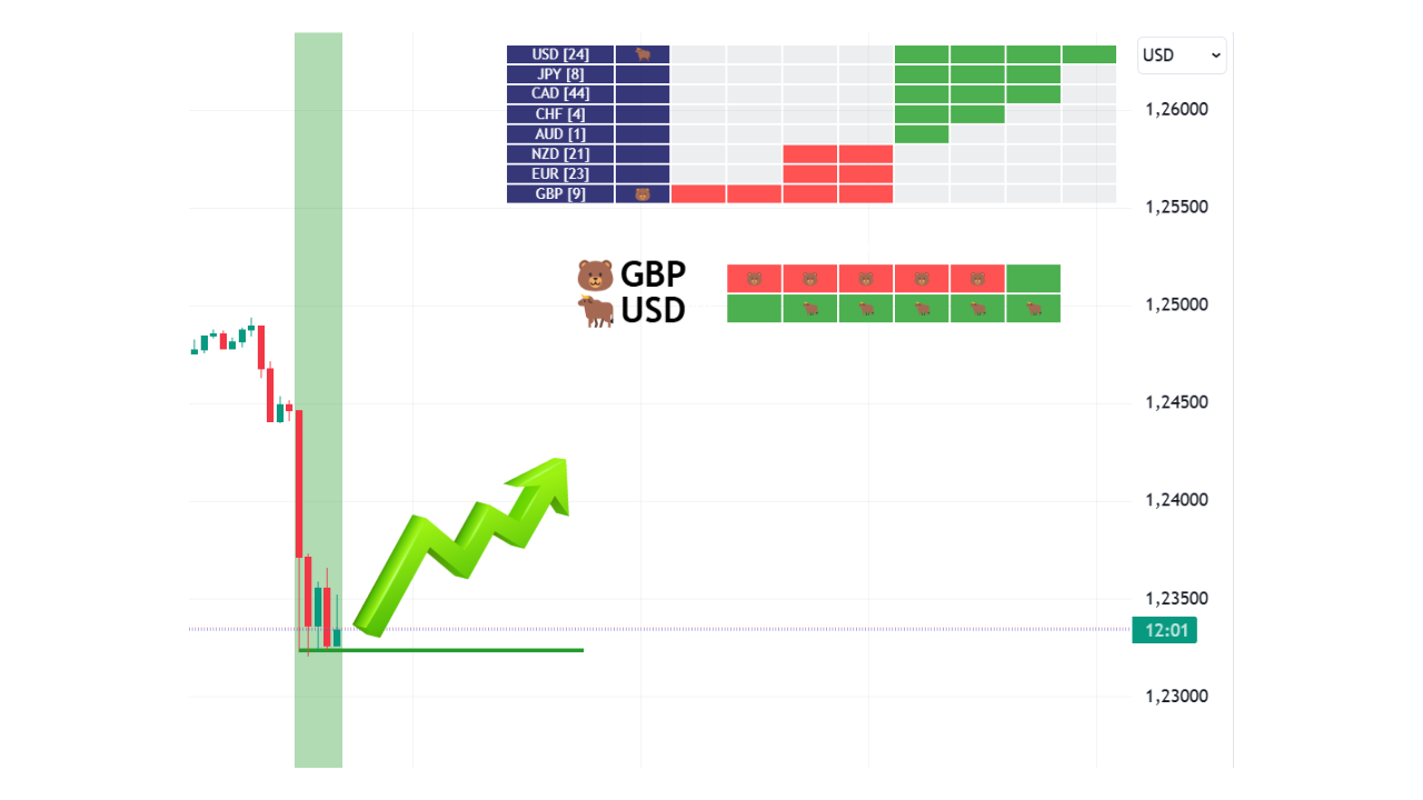 ValutaVision – Quant Trader Academy